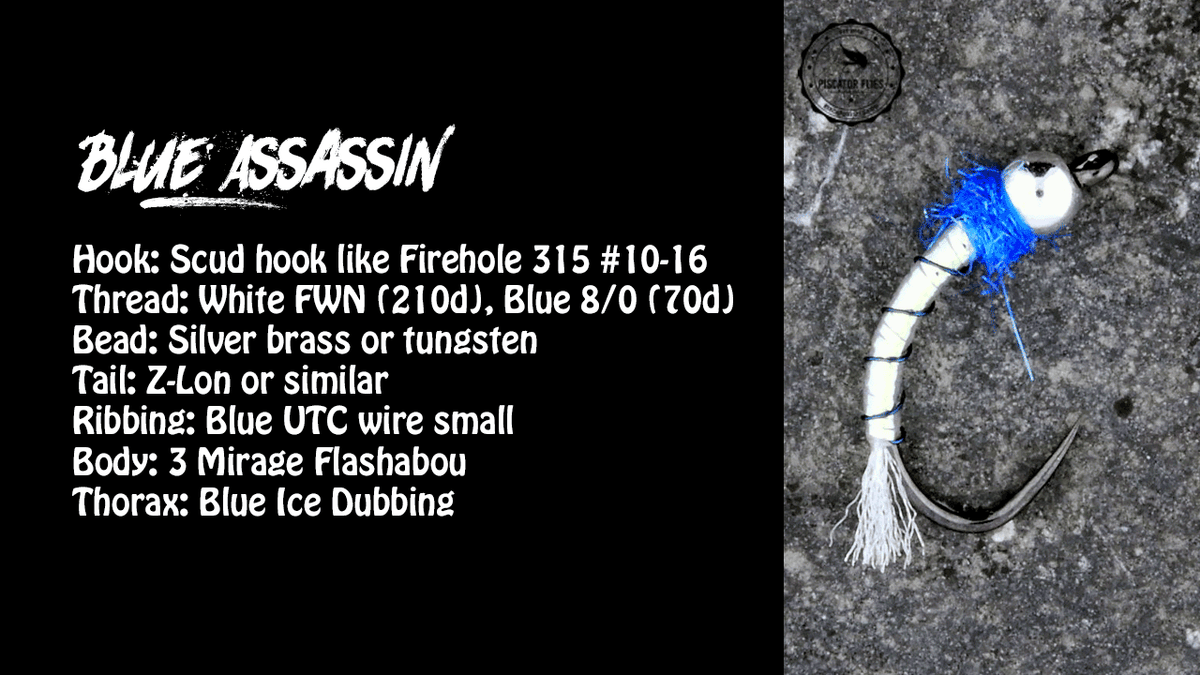 Blue Assassin - Digital Download – Piscator Flies